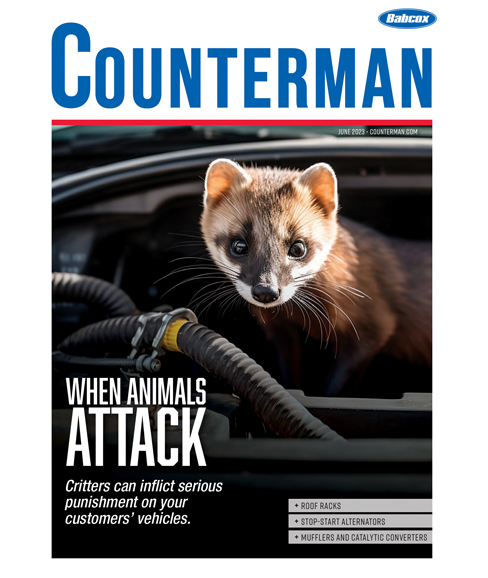 Advics, Author at Counterman Magazine